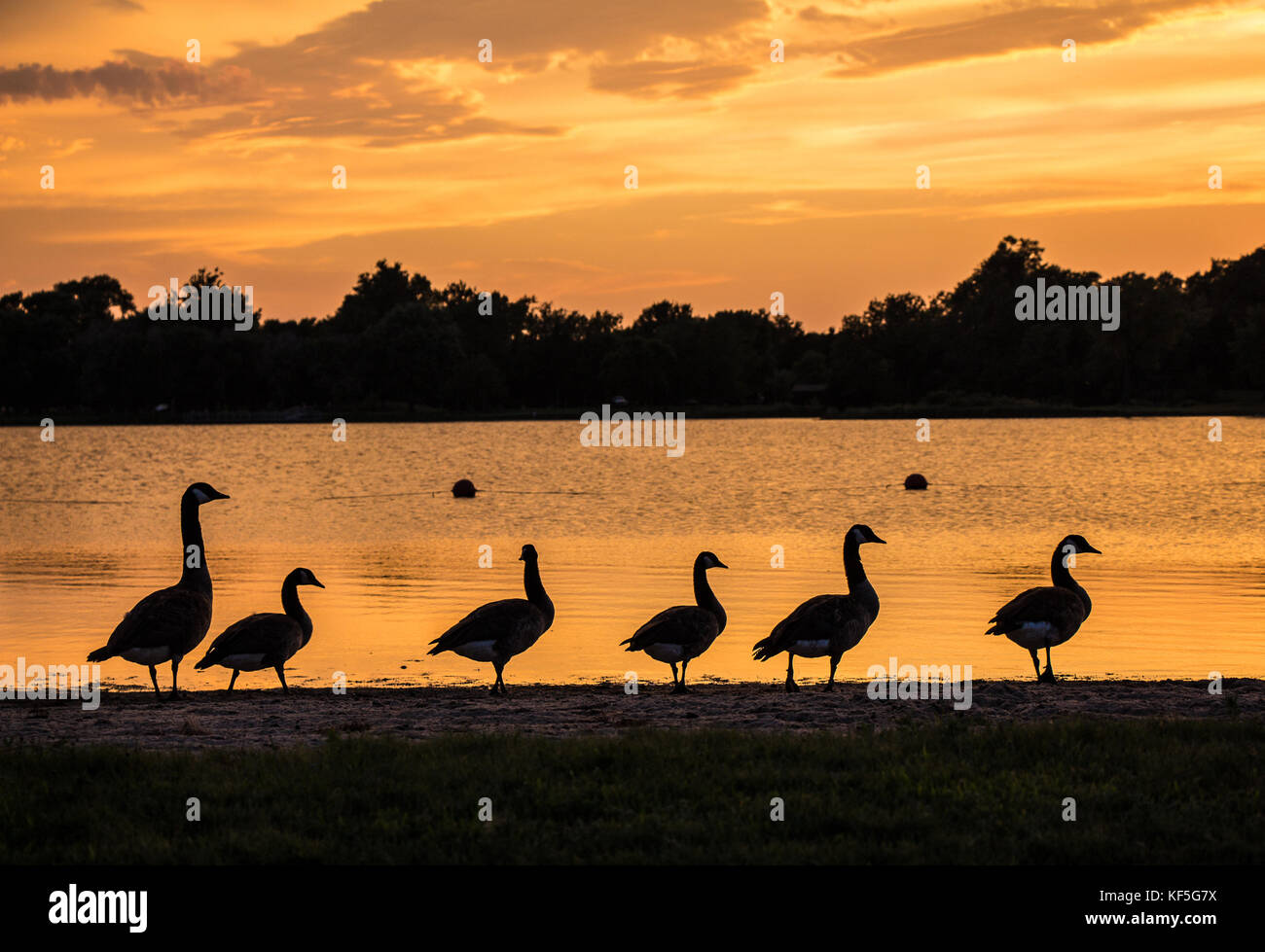 Mormon island hi-res stock photography and images - Alamy