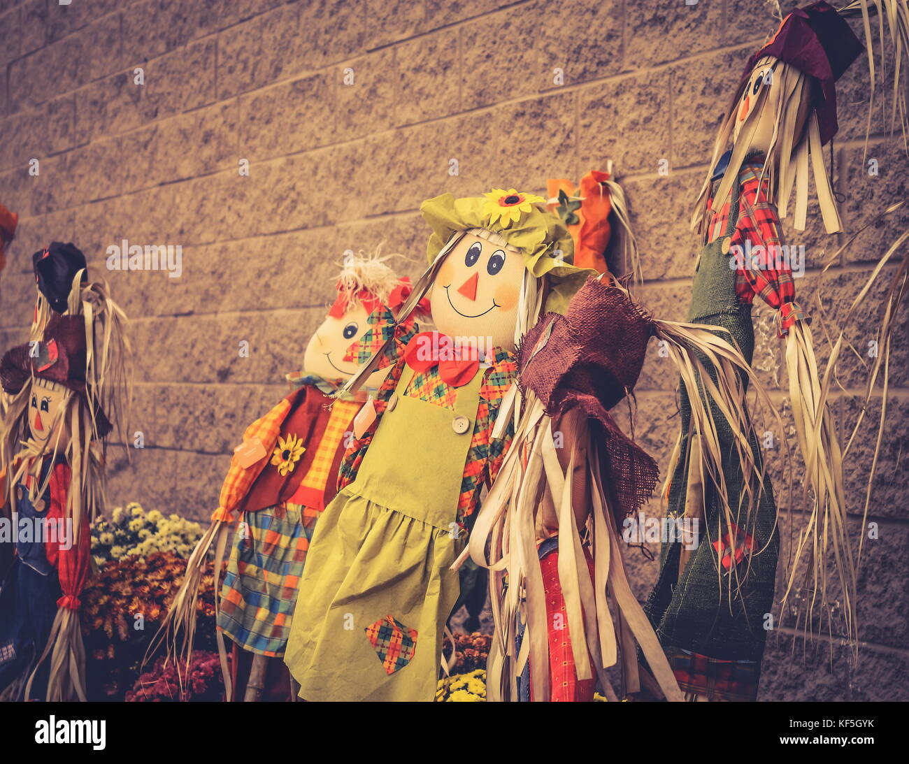 Close up image of Garden Scarecrows on display for Halloween Stock ...