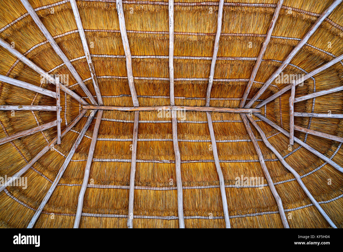 Cancun palapa roof hut detail with dried grass roofing in Mexico Stock ...