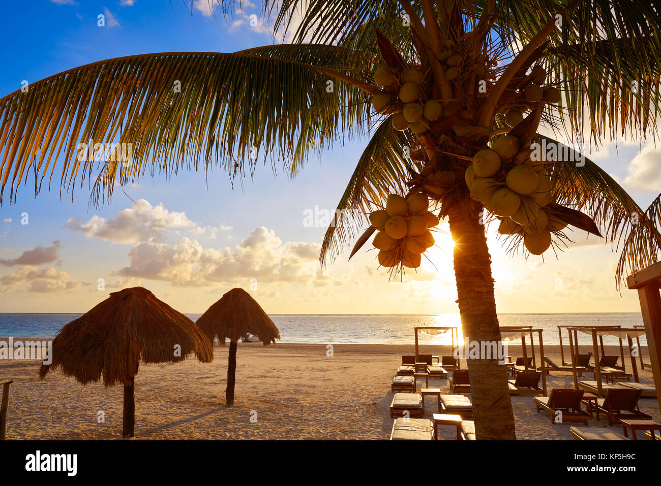 Riviera Maya sunrise beach pal trees at Mayan Mexico Stock Photo - Alamy