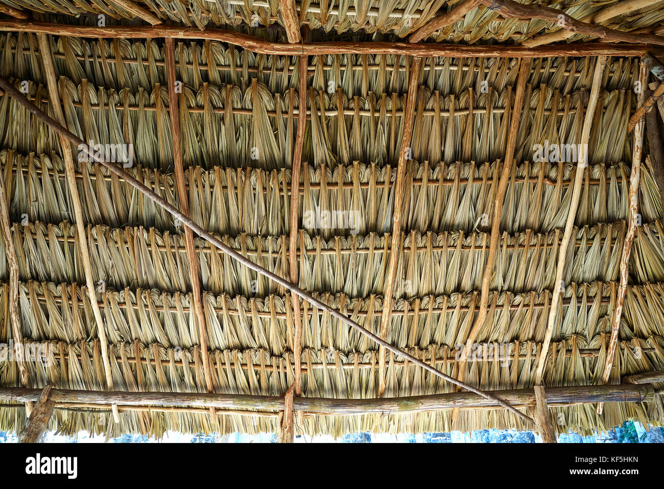 Mayan palapa ceiling roof detail with palm tree leaves Mexico Stock ...