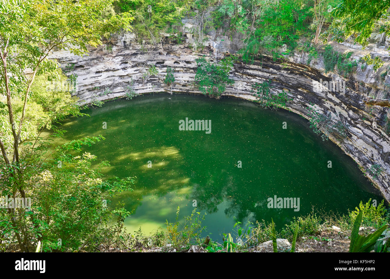 Cenote Sagrado sacred sinkhole in Chichen Itza at Yucatan Mexico Stock ...