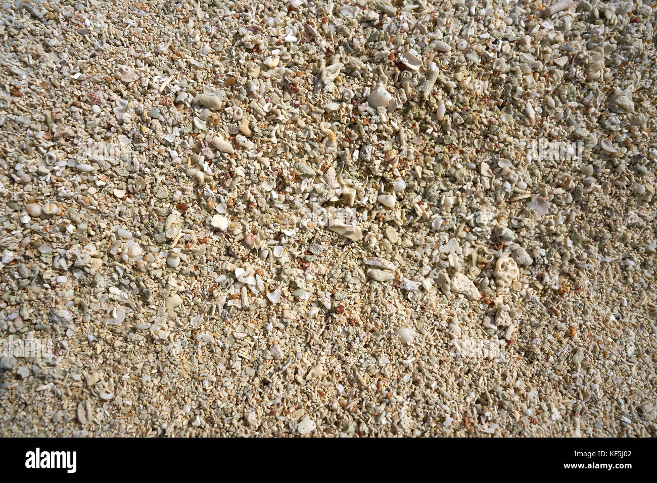 Cozumel Island Caribbean beach sand shore detail in Mexico Stock Photo ...