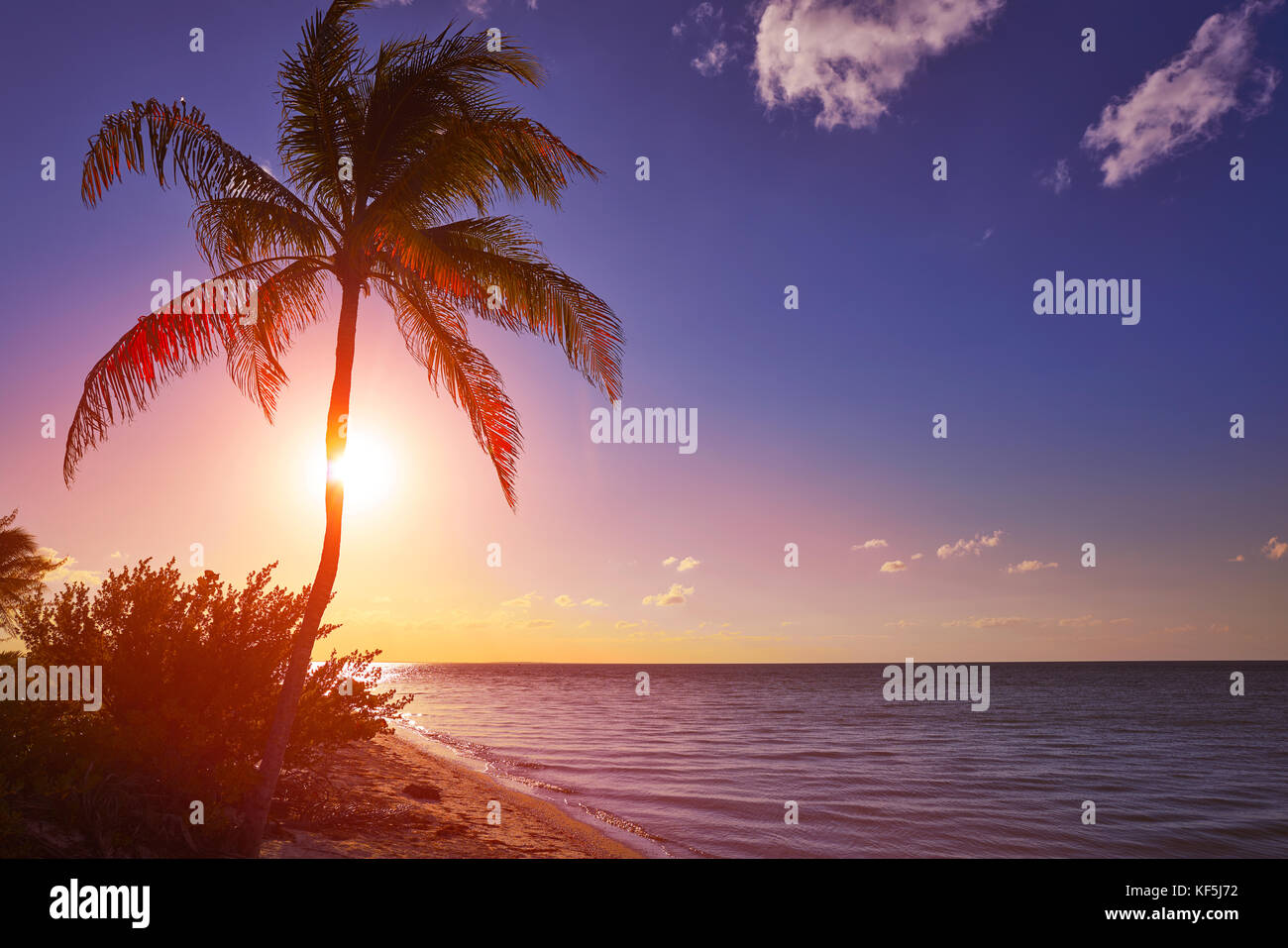 Holbox island sunset beach palm tree tropical in Mexico Stock Photo - Alamy