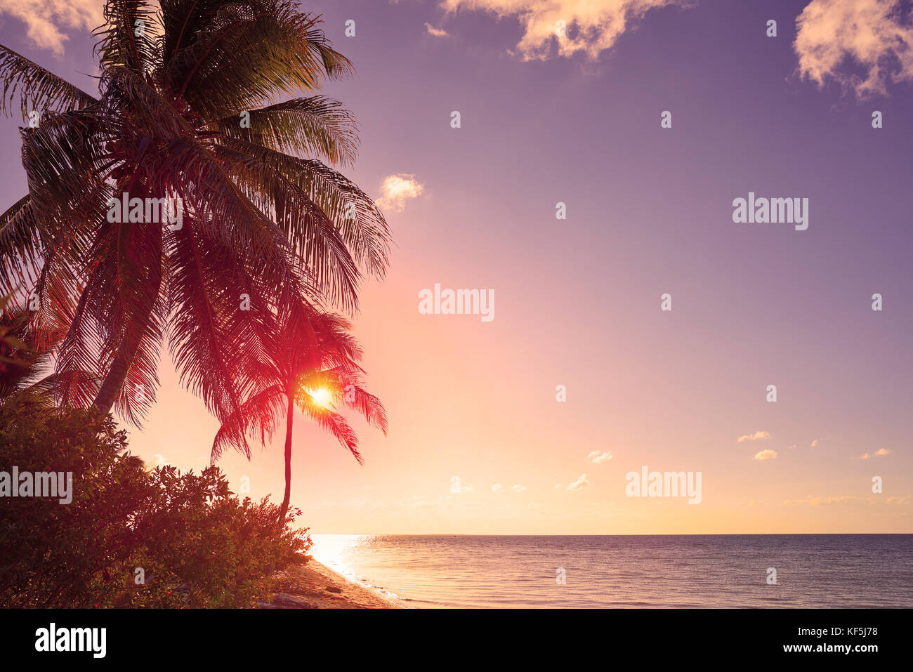 Holbox island sunset beach palm tree tropical in Mexico Stock Photo - Alamy
