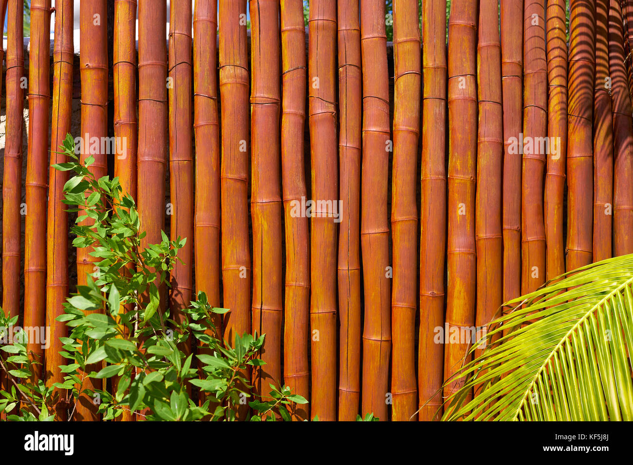 Cane fence hi-res stock photography and images - Alamy