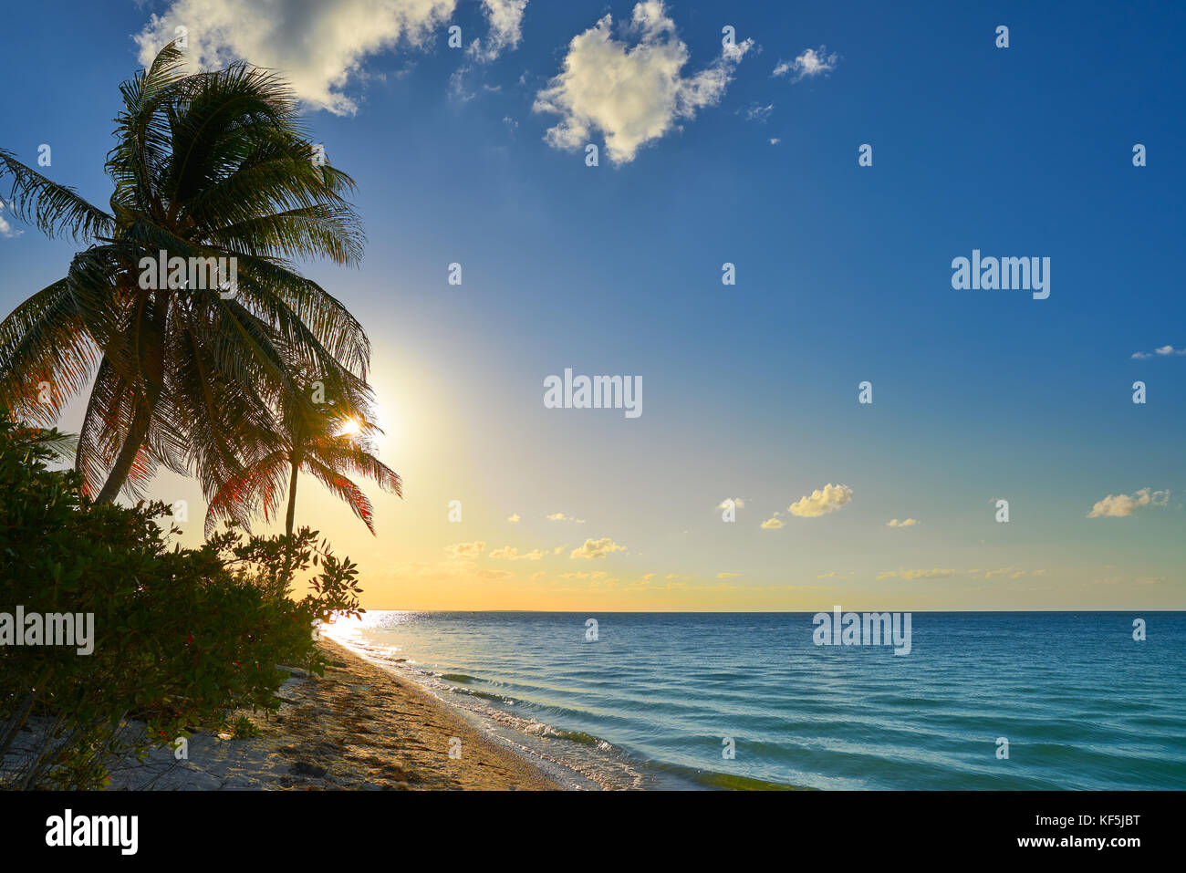 Holbox island sunset beach palm tree tropical in Mexico Stock Photo - Alamy