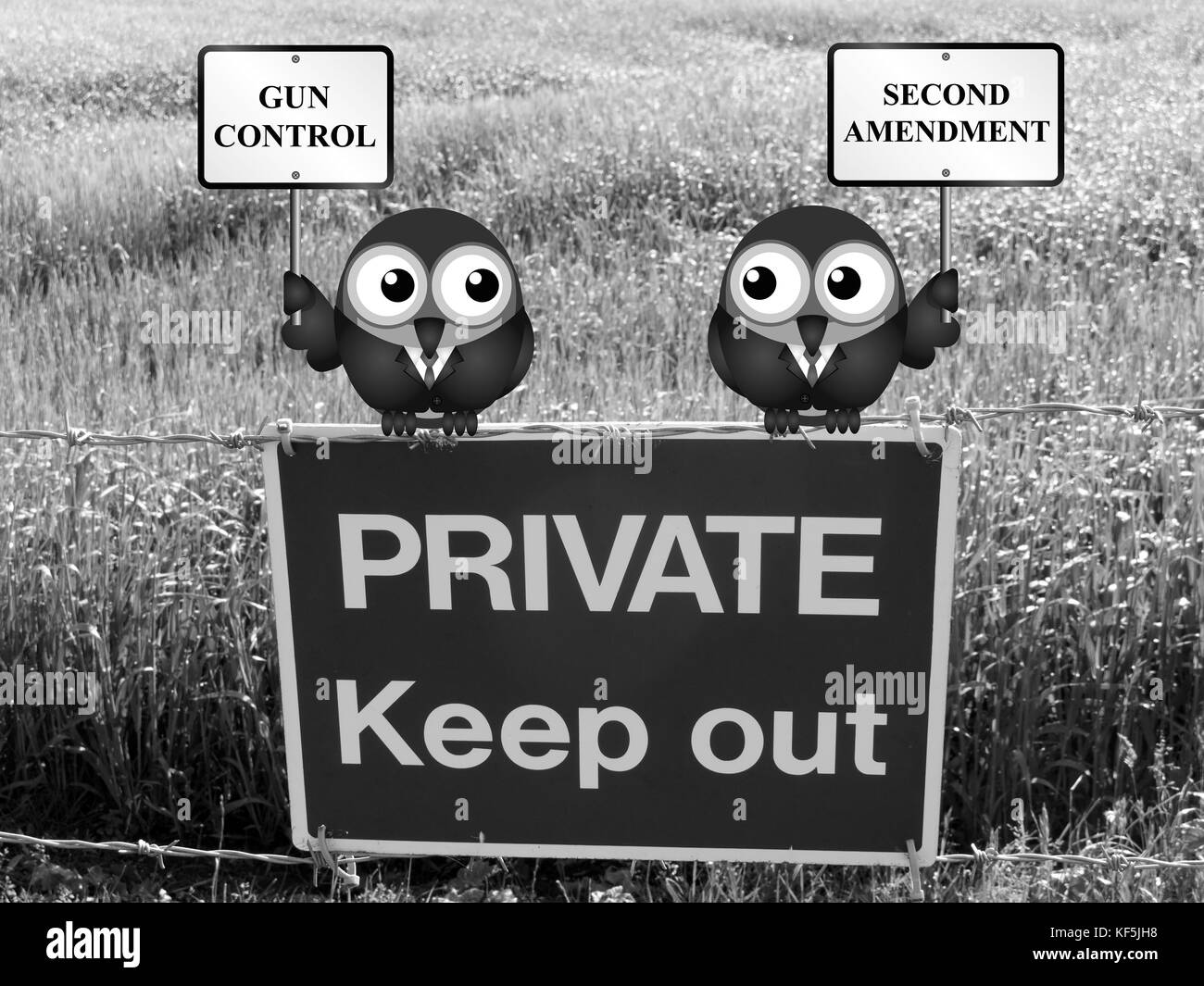 Gun control verses the USA second amendment and the right to keep and ...
