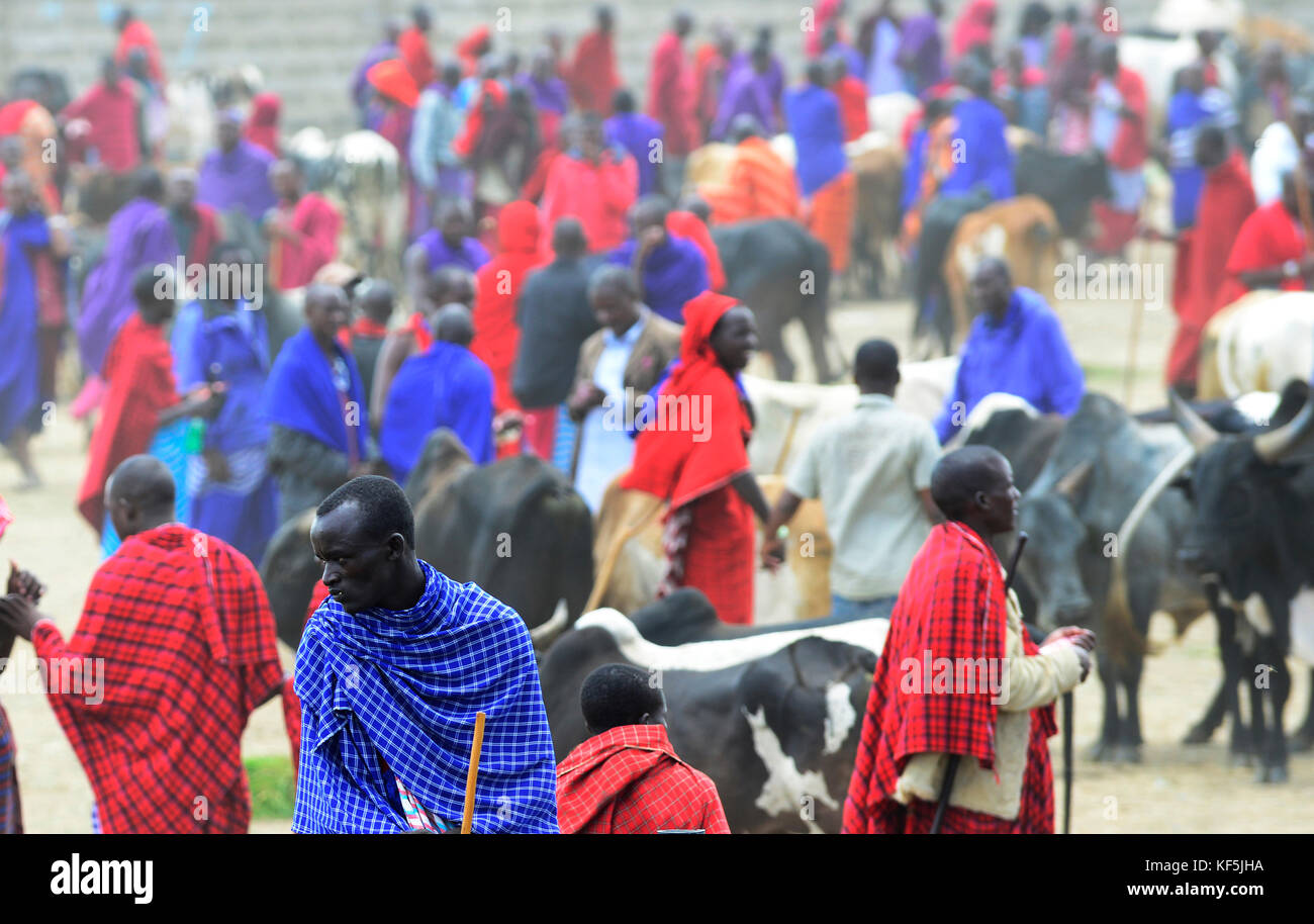 Maasai tribesmen in a colorful cattle and fresh produce market in ...