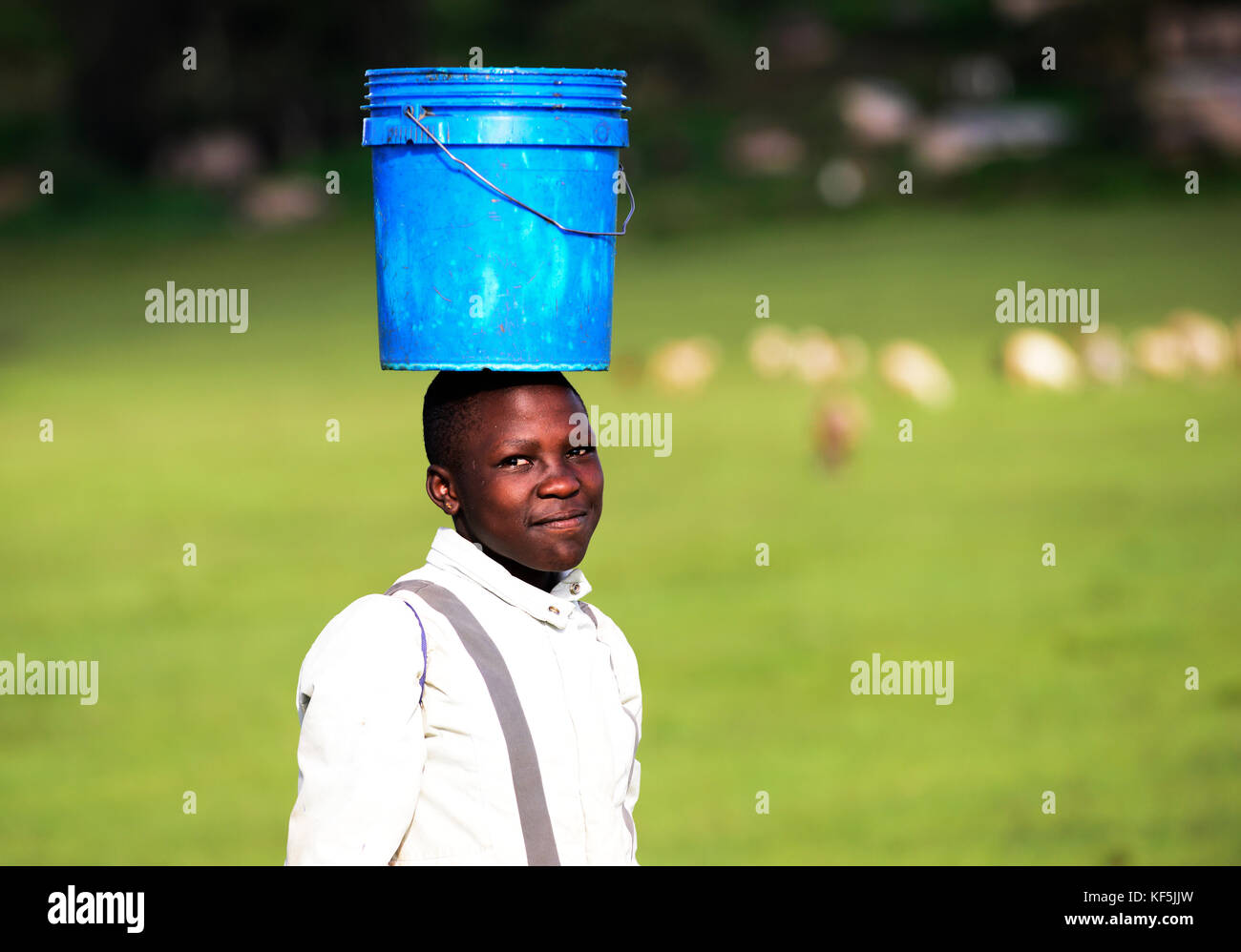 A Tanzanian girl carrying a bucket if water back to her home Stock ...
