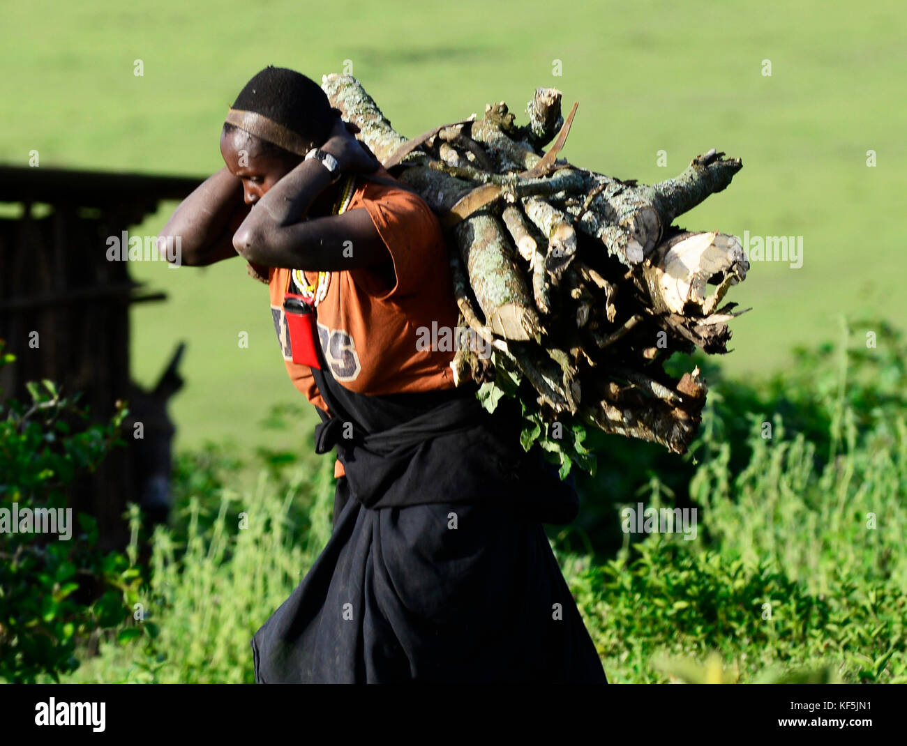 Carrying wood back to her home in rural northern Tanzania Stock Photo ...