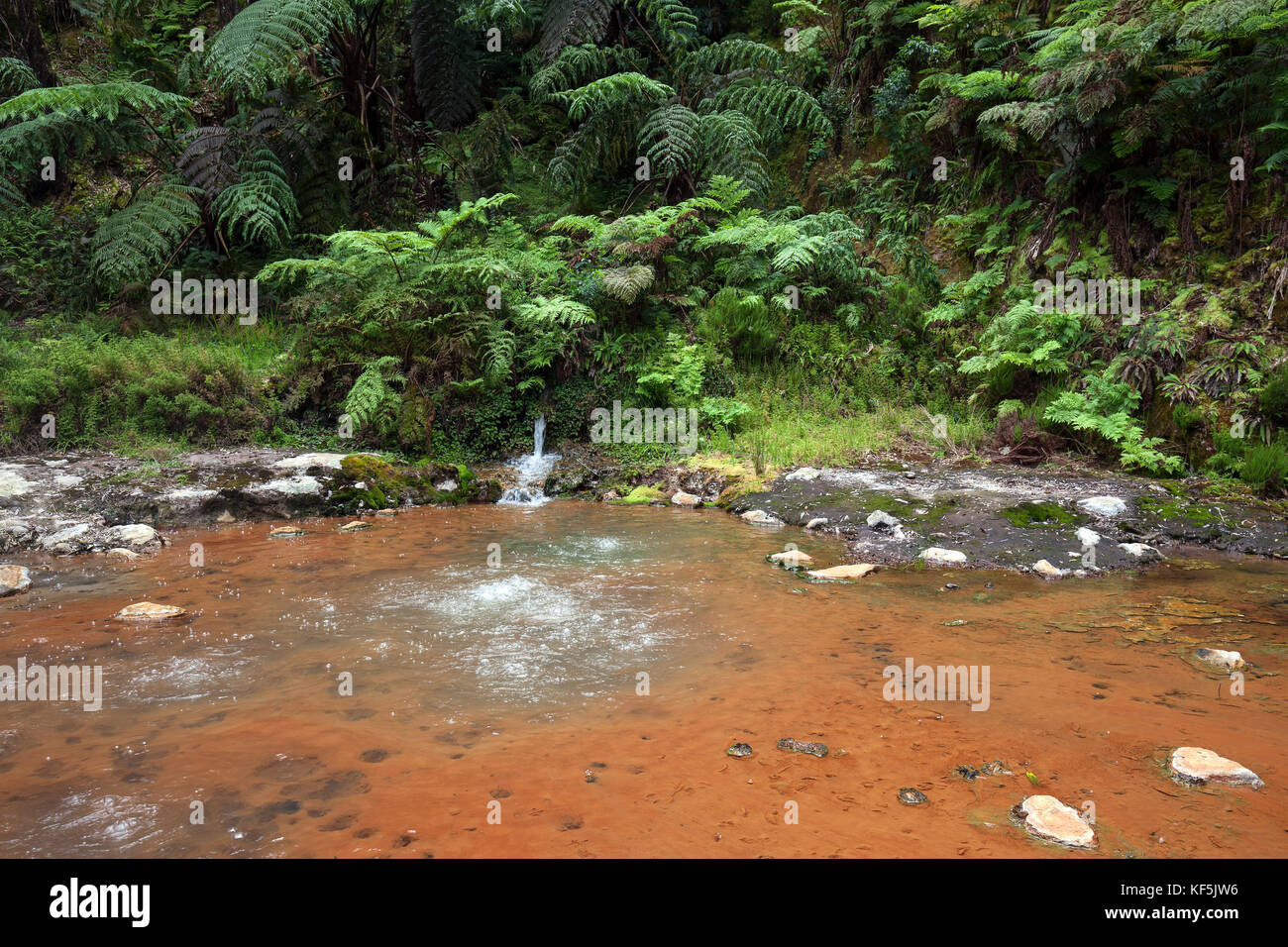 Hot spring, Boiling water, Fumarole, Ferrous water, Caldeira Velha ...