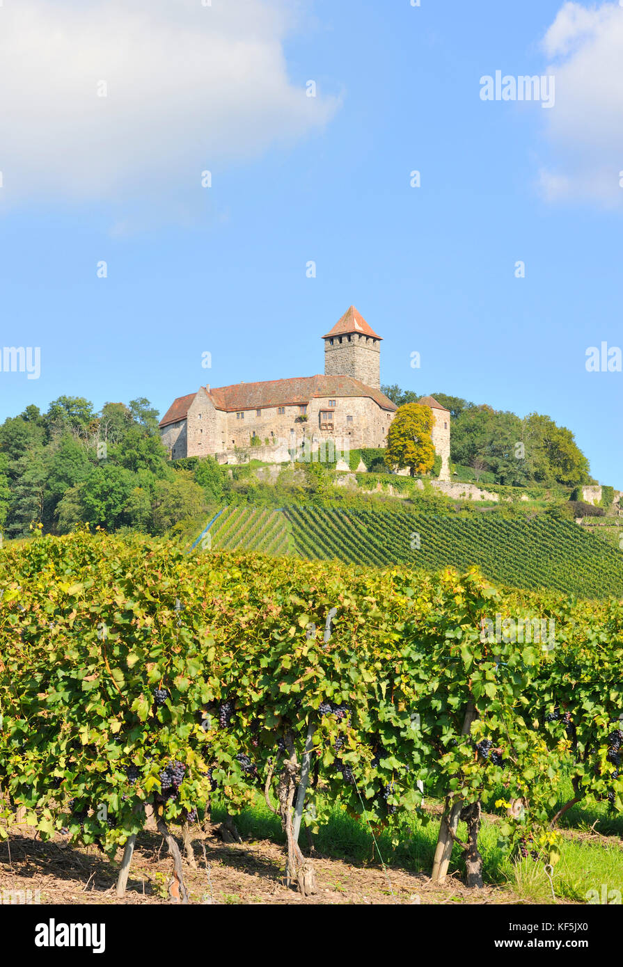 Castle Lichtenberg, Oberstenfeld, Baden-Württemberg, Germany Stock ...