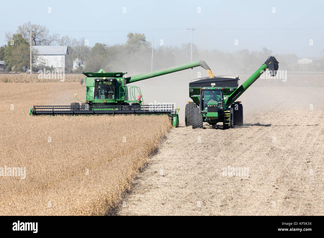 Middletown, Iowa, USA. 18th October, 2017. Soybean crops being ...