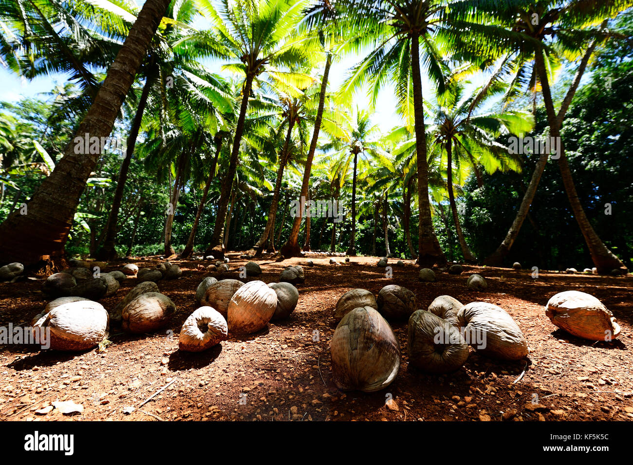 Atiu island hi-res stock photography and images - Alamy
