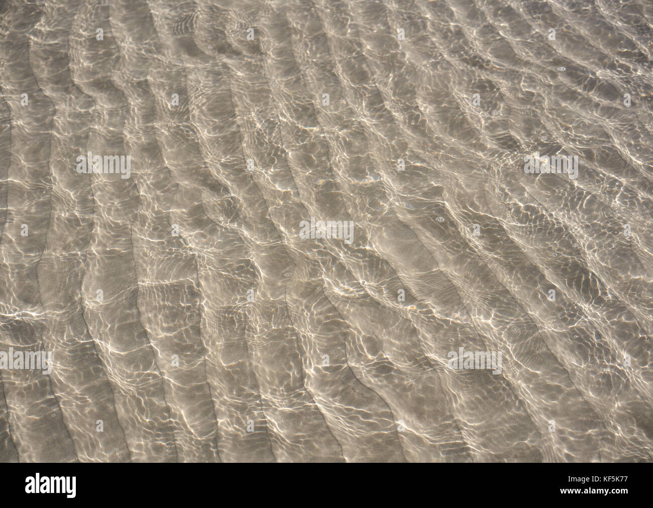 Caribbean transparent water beach reflections in shallow white sand ...