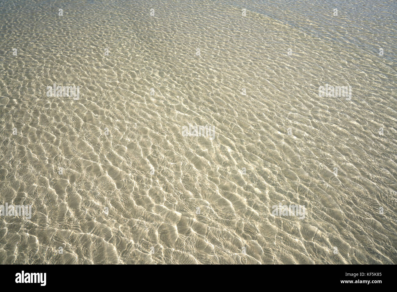 Caribbean transparent water beach reflections in shallow white sand ...