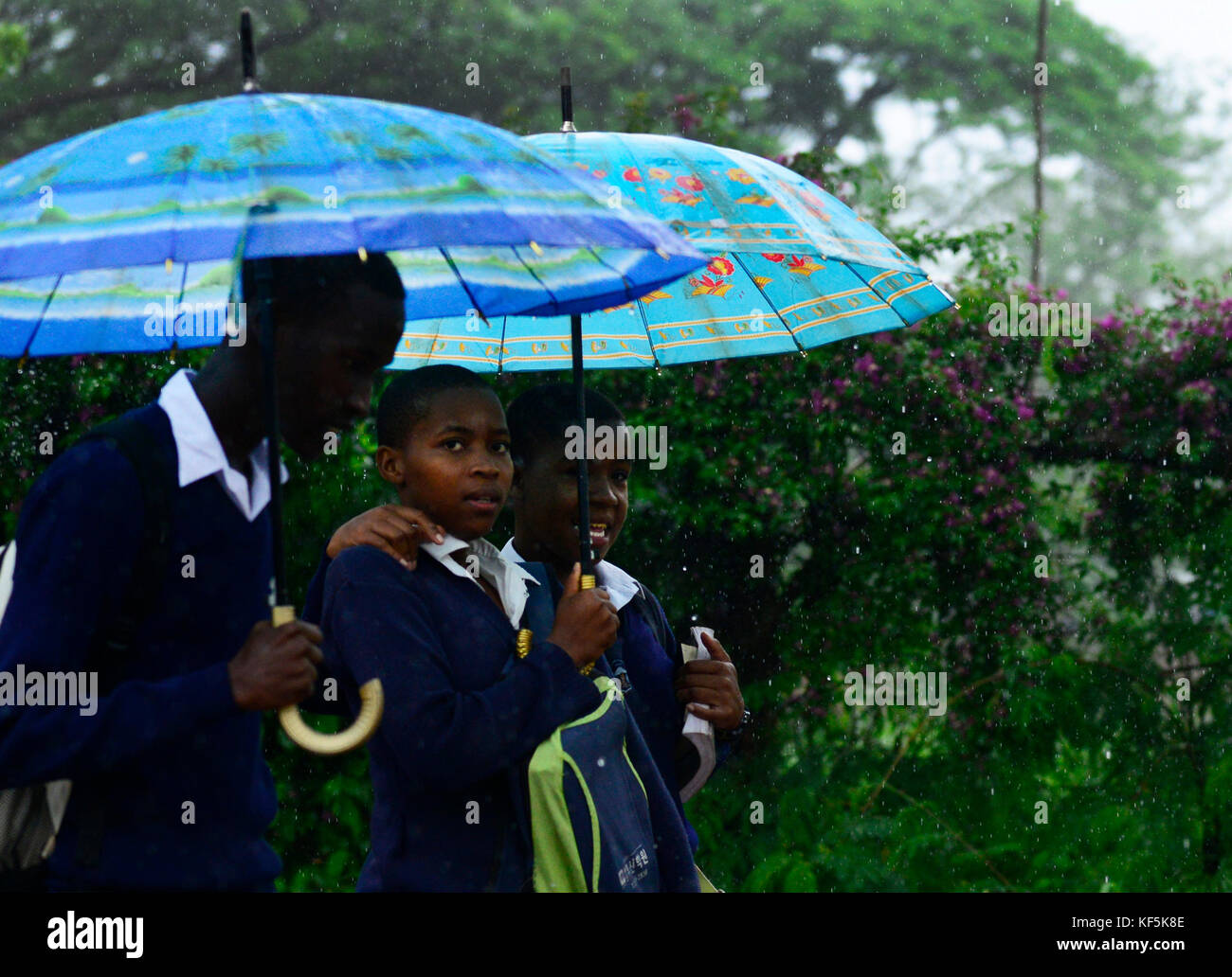 Tanzanian children walking in the heavy rain Stock Photo - Alamy