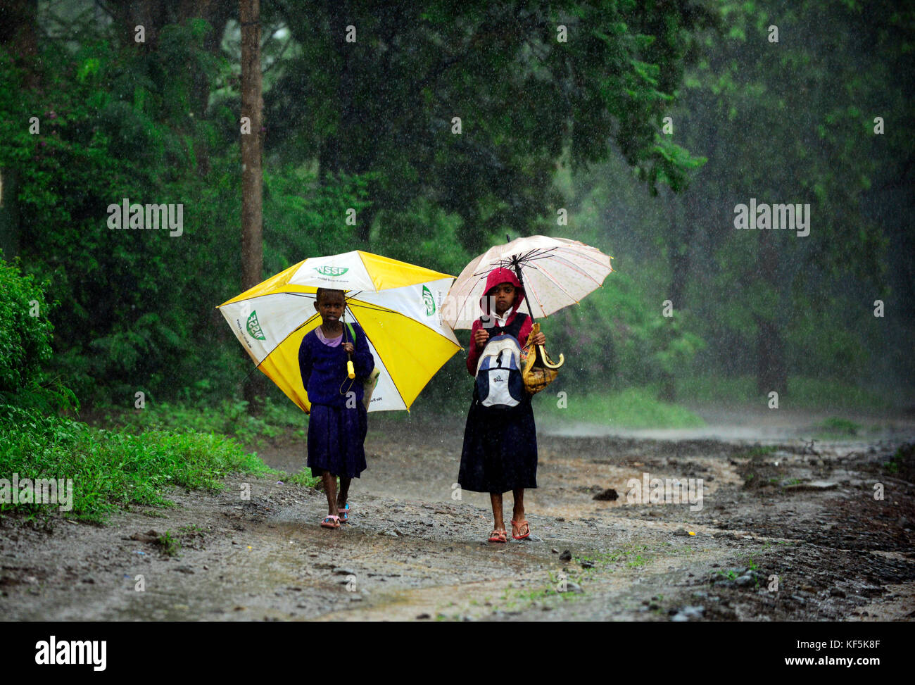 Tanzanian children walking in the heavy rain Stock Photo - Alamy