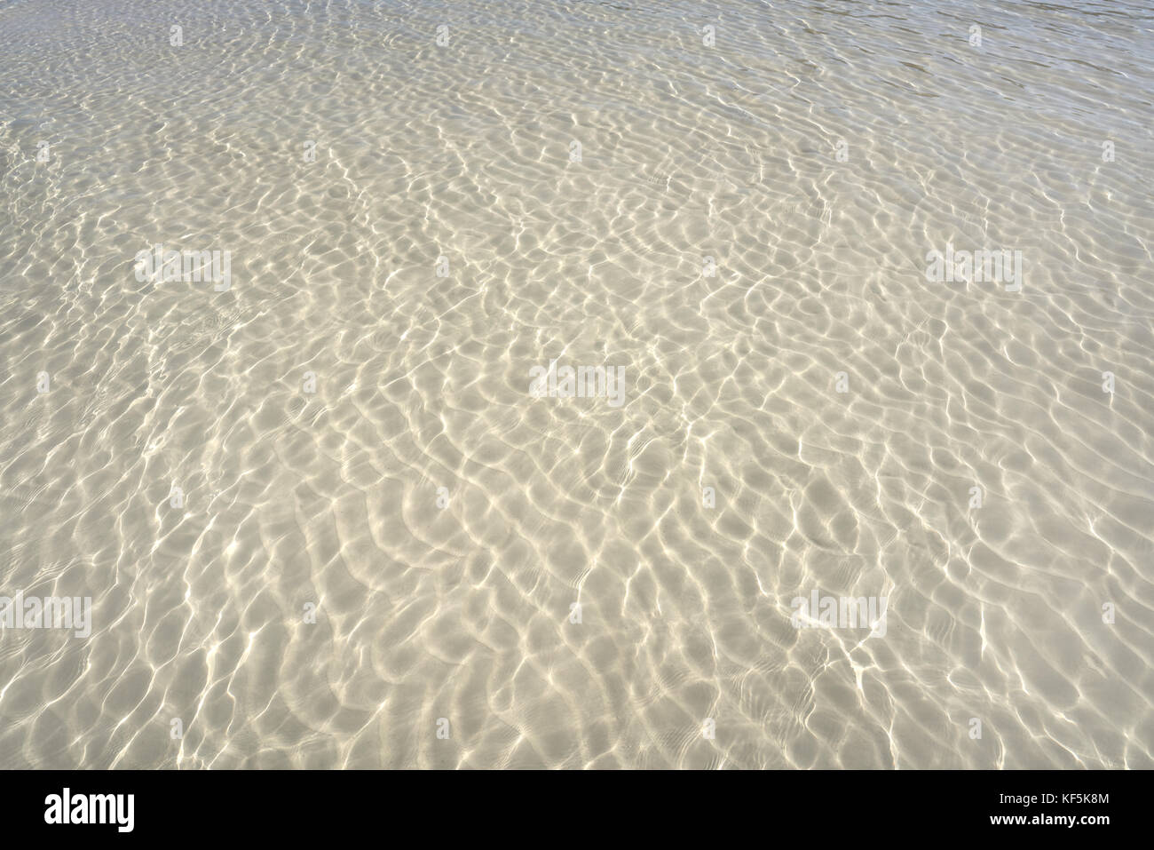 Caribbean transparent water beach reflections in shallow white sand ...