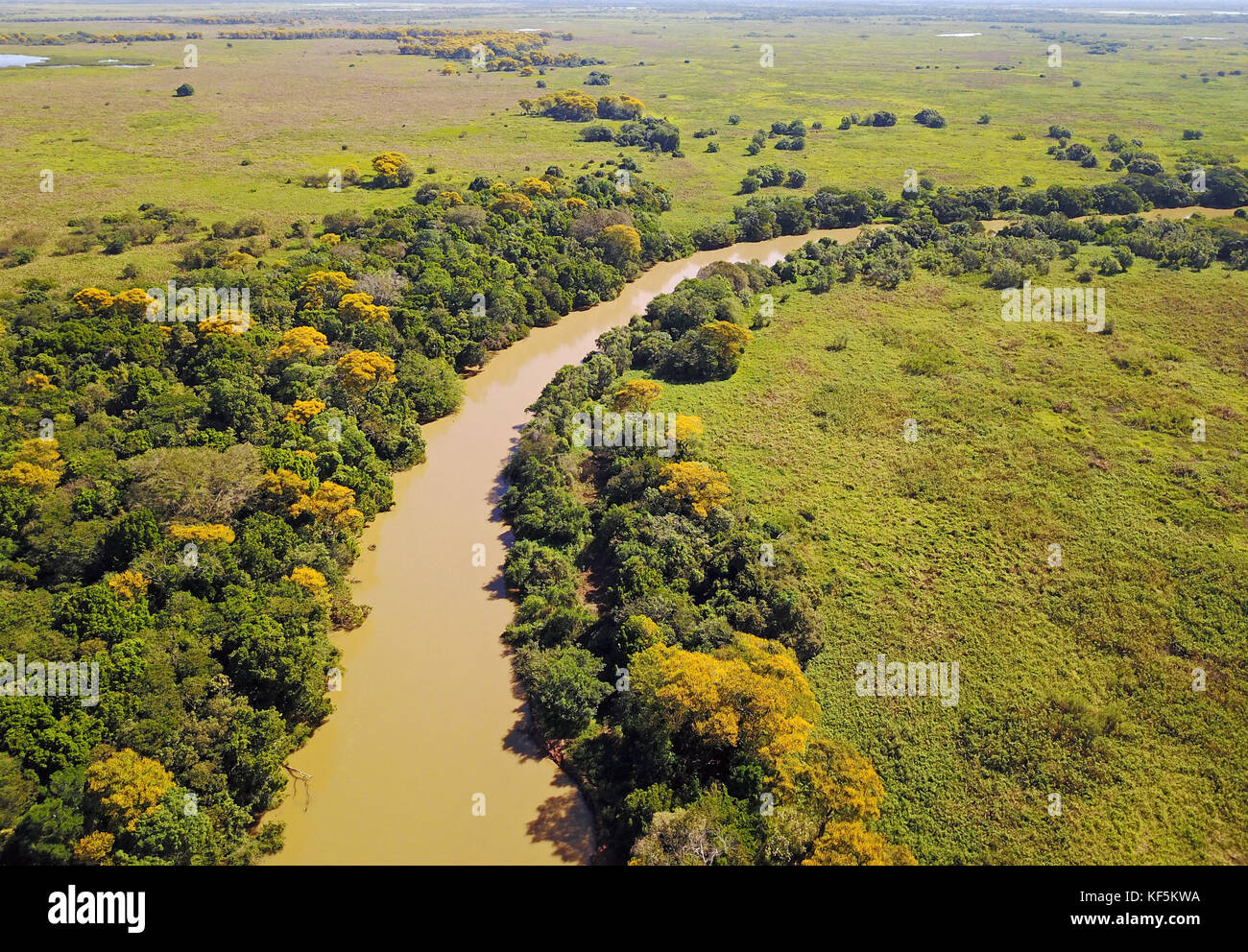River flows through Pantanal, Mato Grosso, Brazil, South America Stock ...