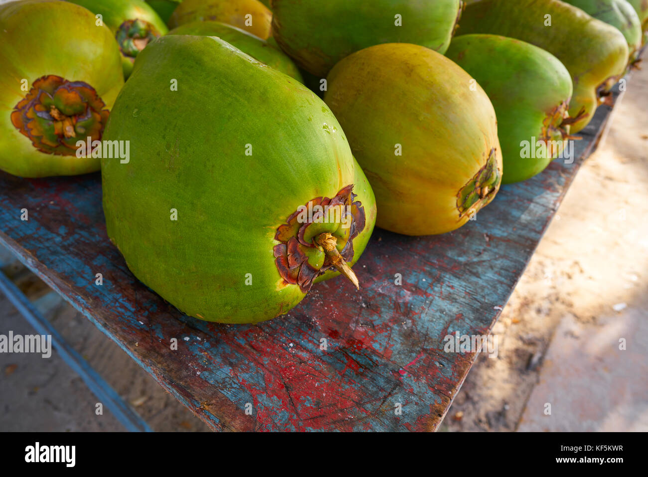 caribbean coconut fruits in Mayan Riviera of Mexico Stock Photo - Alamy