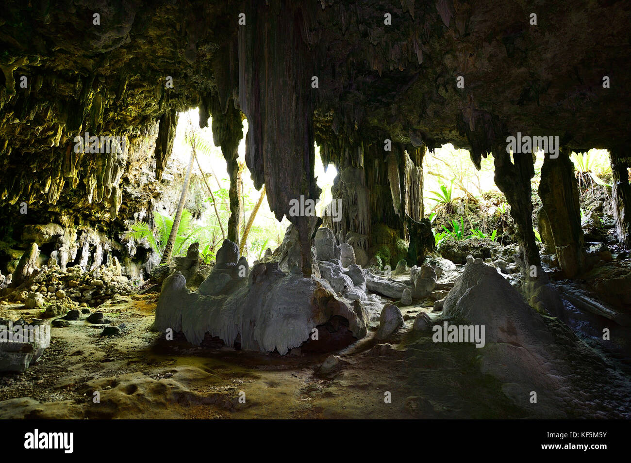 Stalactite Cave, Kopeka Cave, Kopeka bird cave, Atiu, Cook Islands ...