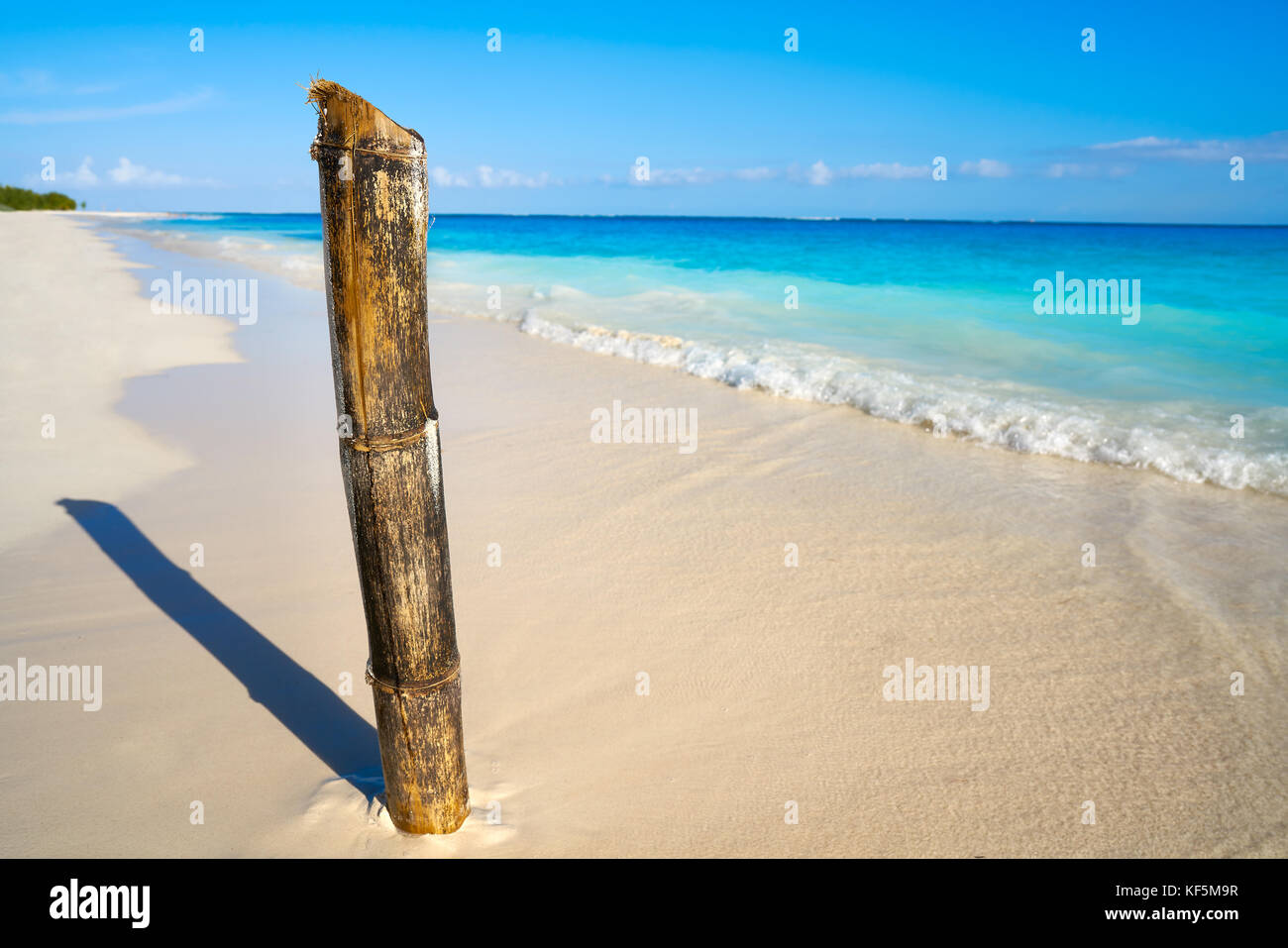 Riviera Maya Caribbean beach turquoise cane in Mayan Mexico Stock Photo ...
