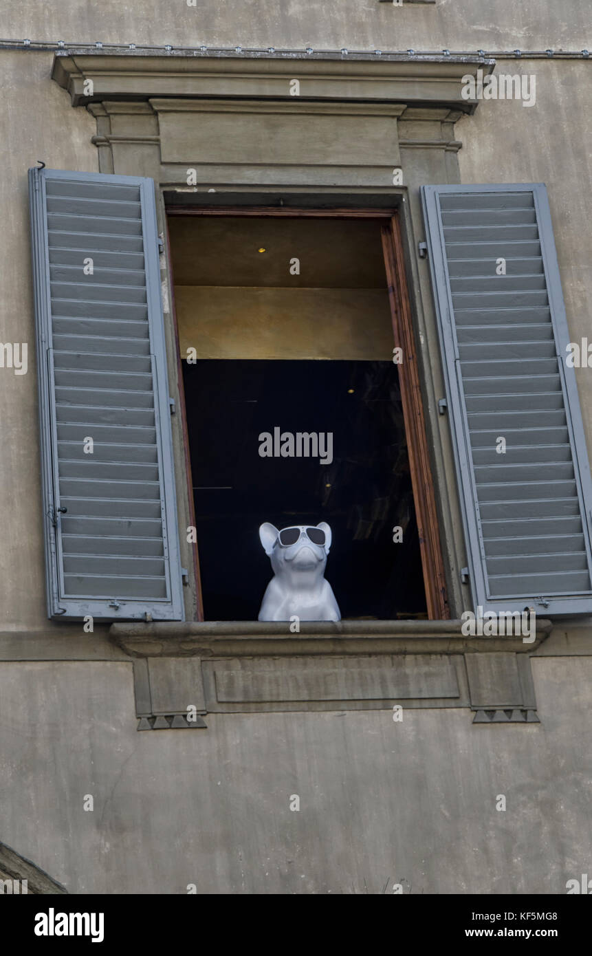 View of dog puppet at the window Stock Photo - Alamy