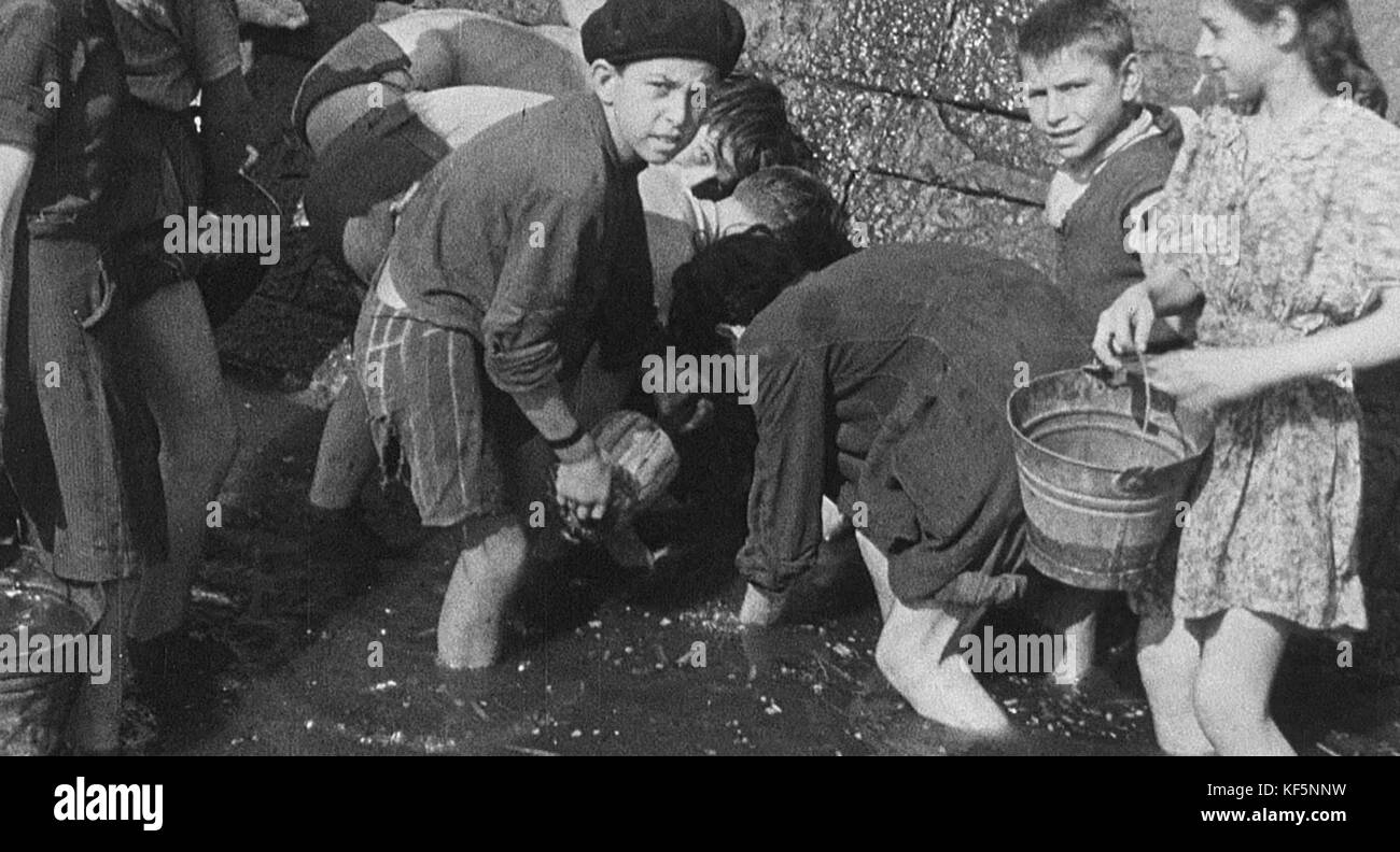 NAPLES '44, 2016. © First Run Features /Courtesy Everett Collection ...