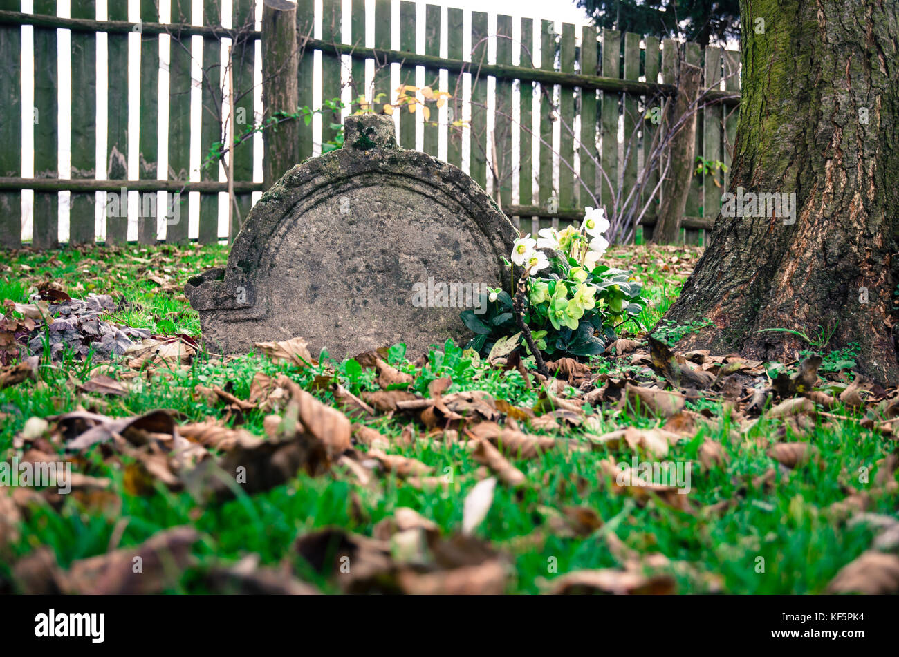 old rock grave in autumn grass Stock Photo - Alamy