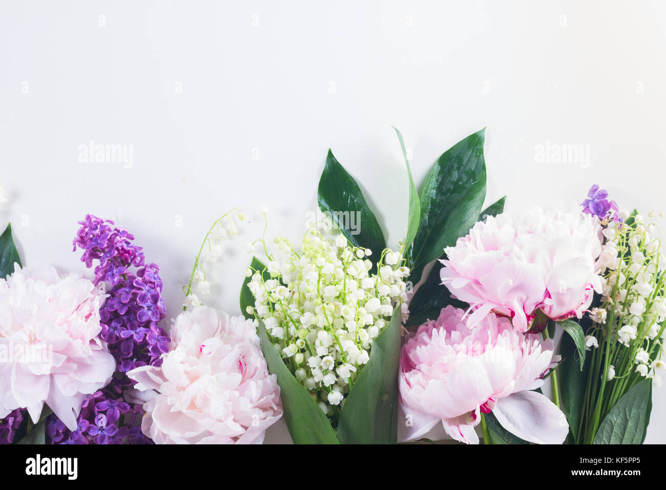 Beauty flowers borders decoration hi-res stock photography and images ...