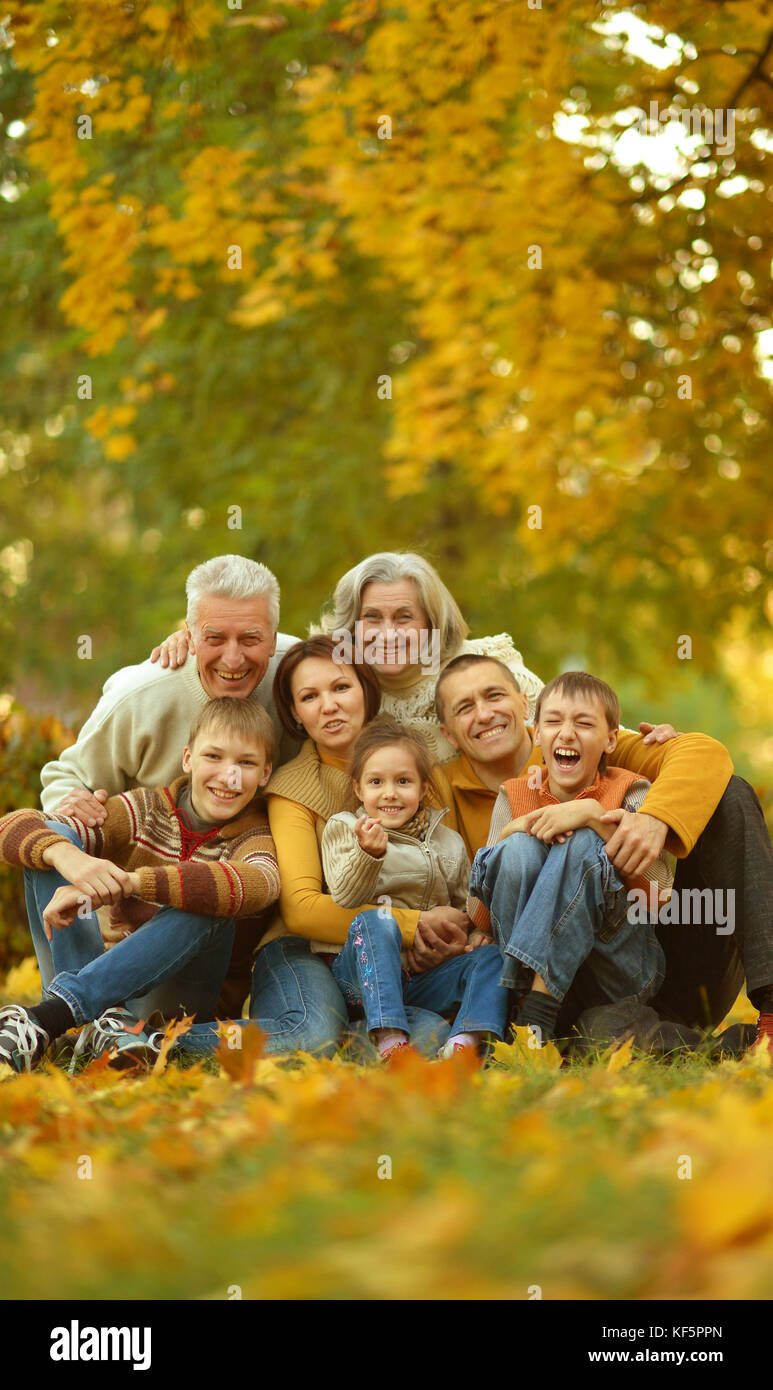 Big family having fun Stock Photo - Alamy