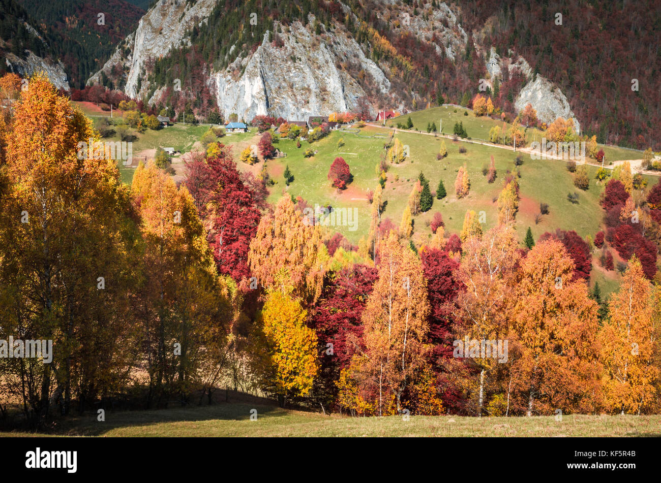 Autumn landscape. Colorful fall scene in a mountain village Stock Photo ...