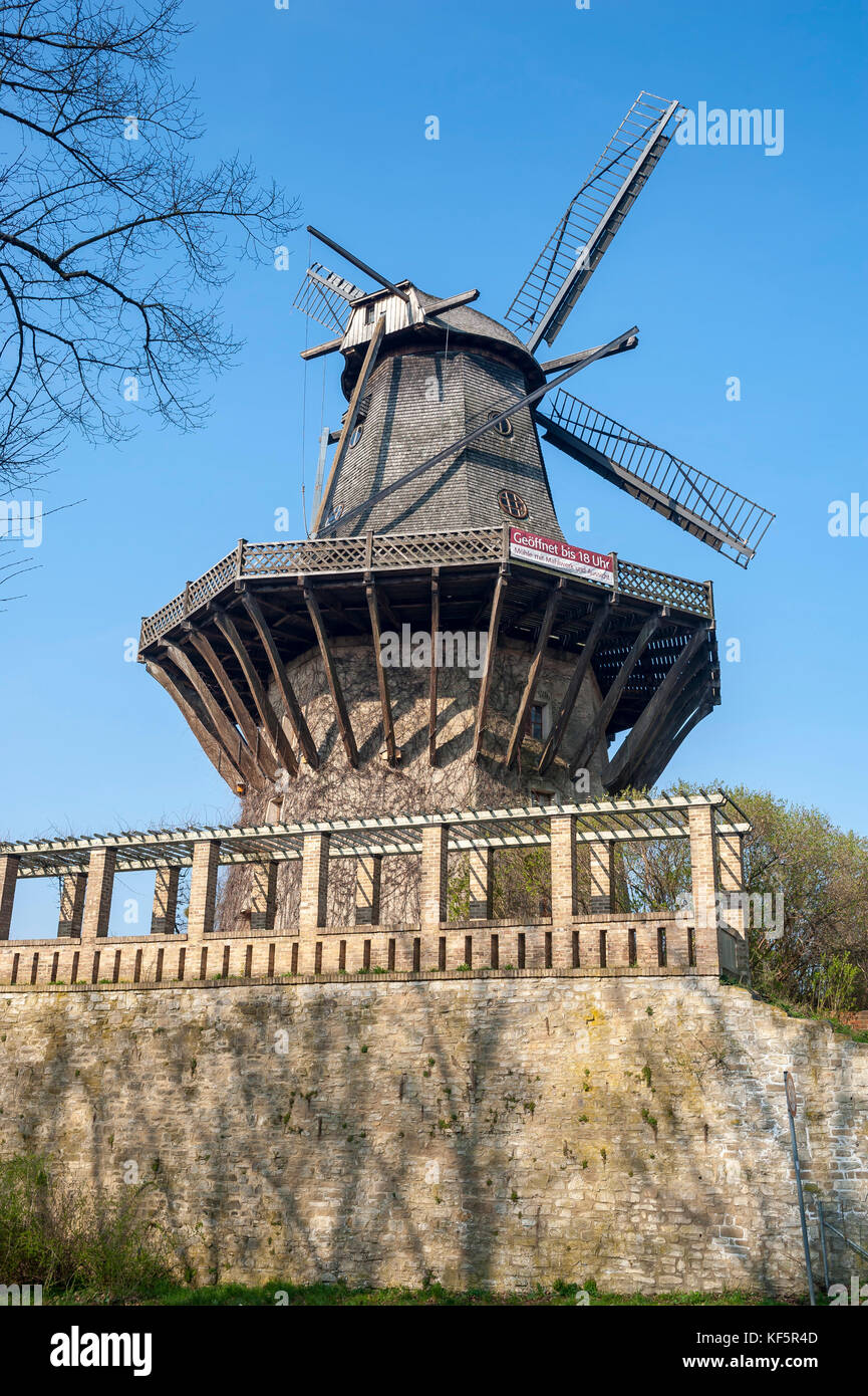 Windmill, Potsdam, Brandenburg State, Germany, Europe Stock Photo - Alamy
