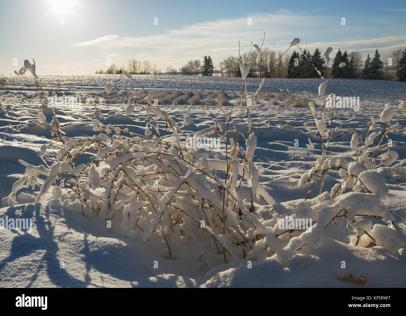 Countryside landscape in winter Stock Photo - Alamy