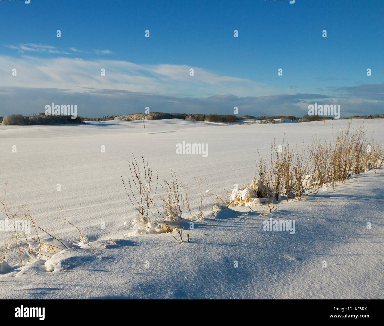Countryside landscape in winter Stock Photo - Alamy