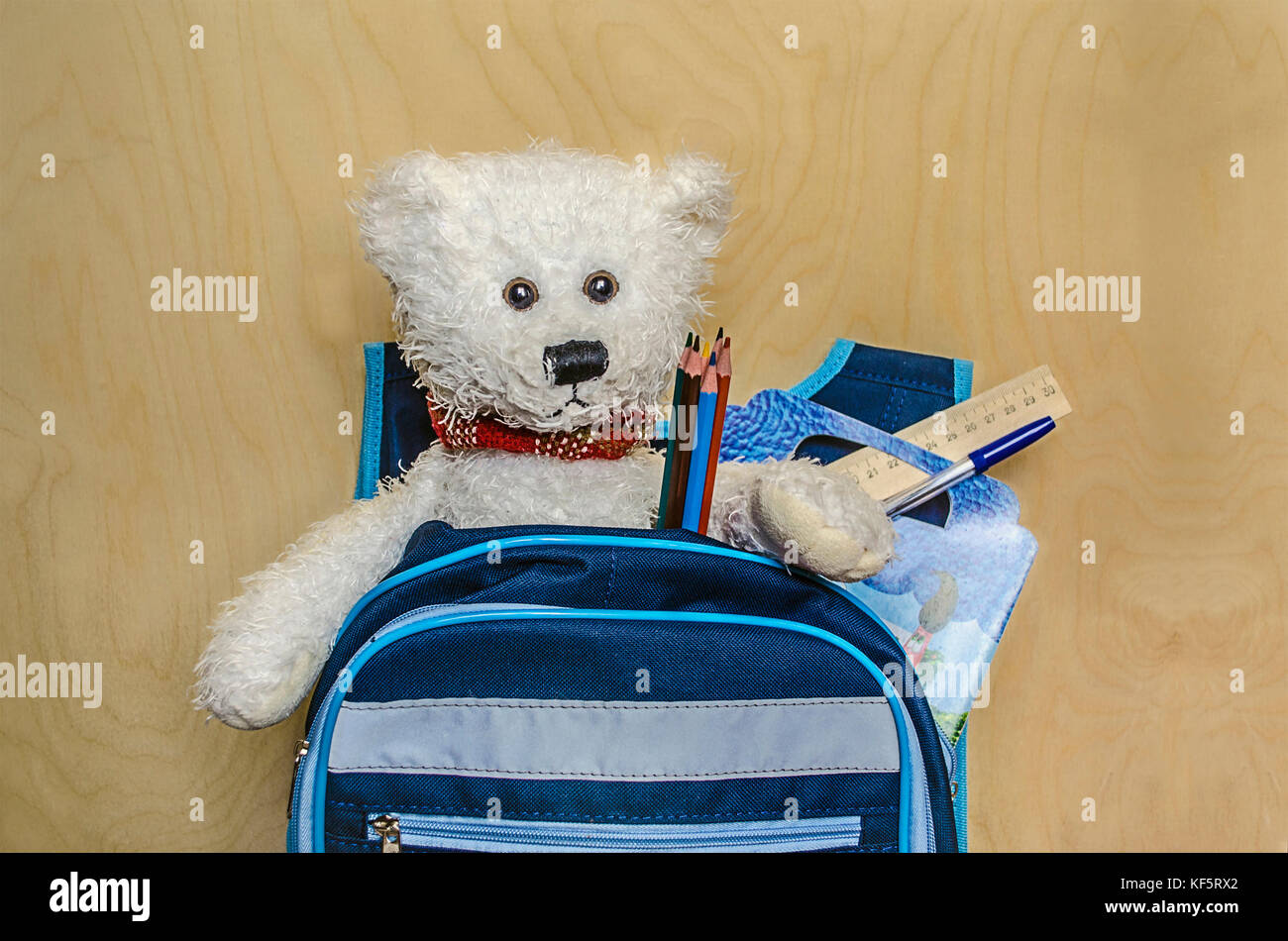 White Teddy bear sits in a knapsack with pencils, pen, notebook ...