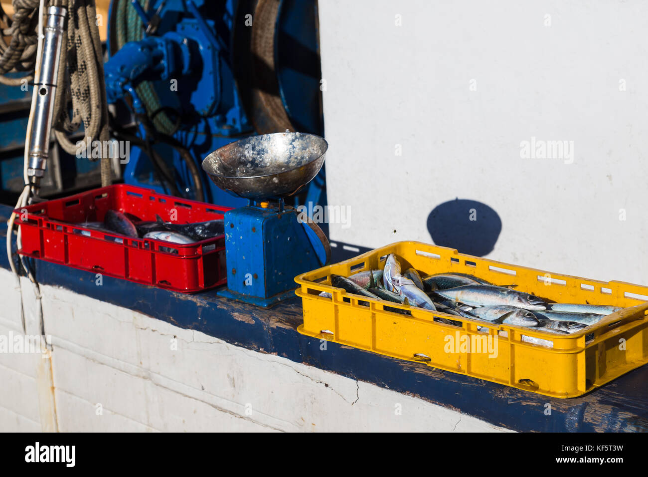 Shallow crates of fish pictured on the side of a trawler in Orebic ...