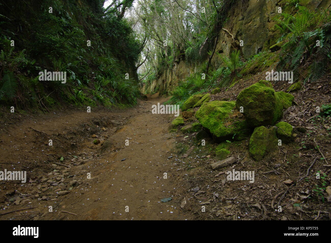 Hollow way hi-res stock photography and images - Alamy