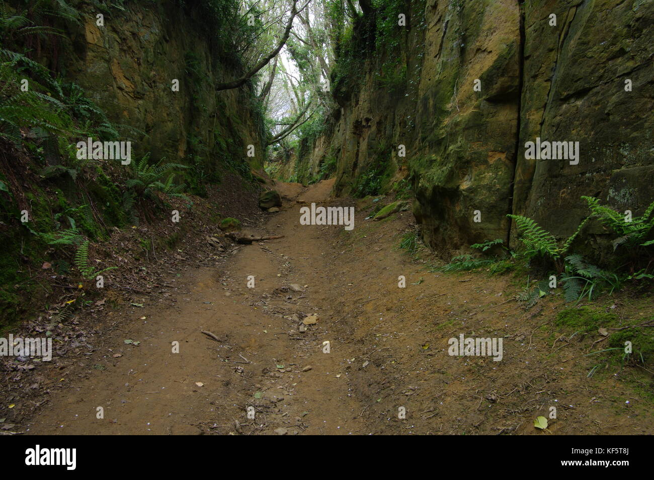 Hollow way uk hi-res stock photography and images - Alamy