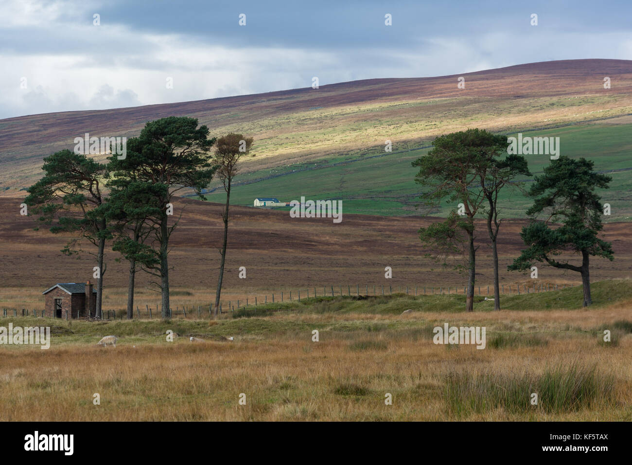 Kinbrace scotland hi-res stock photography and images - Alamy