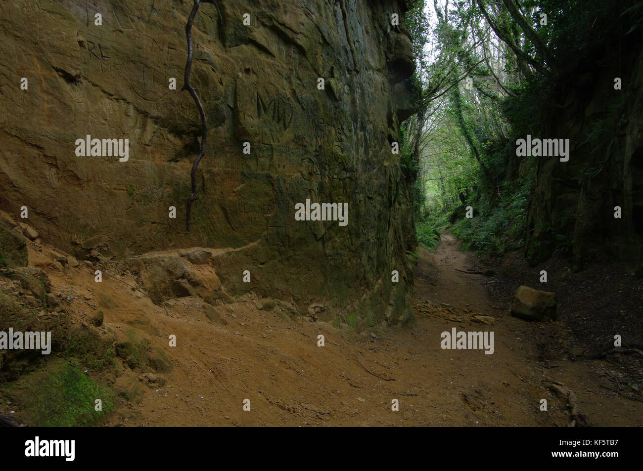 A Hollow Way, Symondsbury, Dorset Stock Photo - Alamy