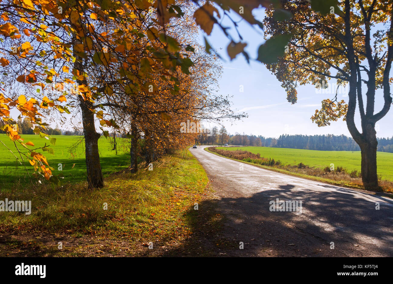 Old country road in early autumn Stock Photo - Alamy