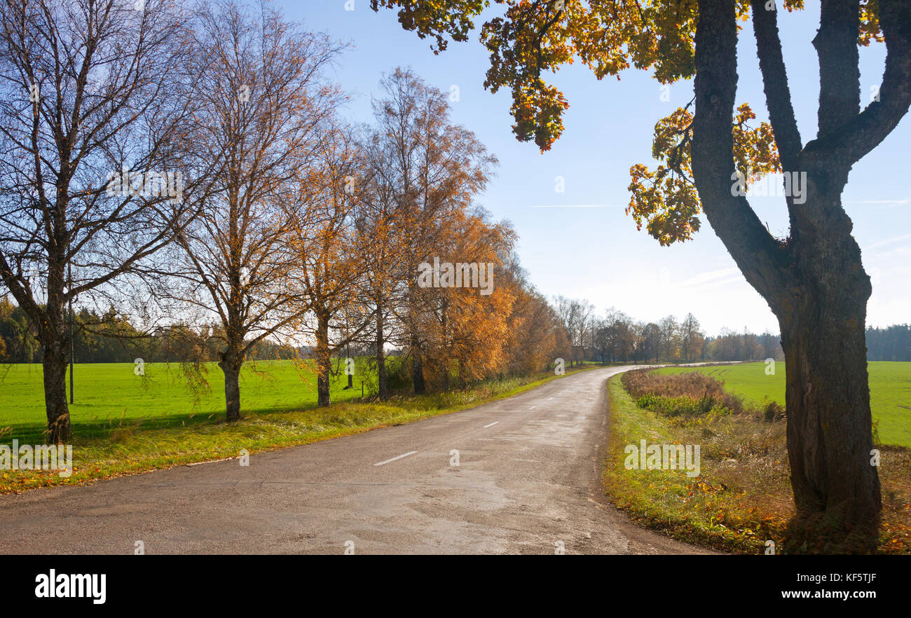 Old country road in early autumn Stock Photo - Alamy