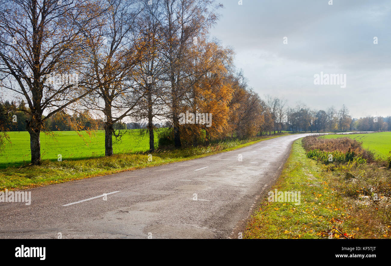 Old country road in early autumn Stock Photo - Alamy