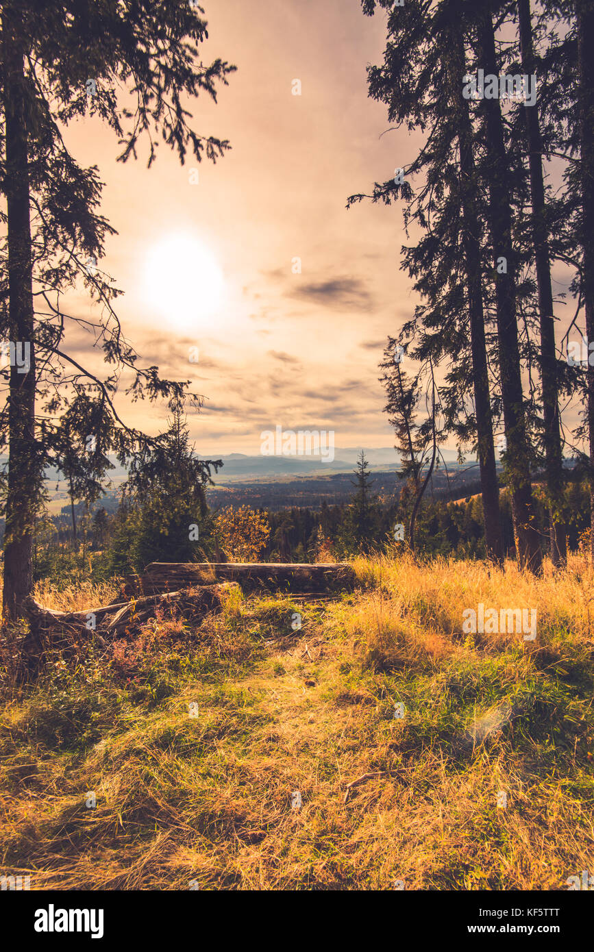 Autumn in high Tatra mountains, color toned image Stock Photo - Alamy