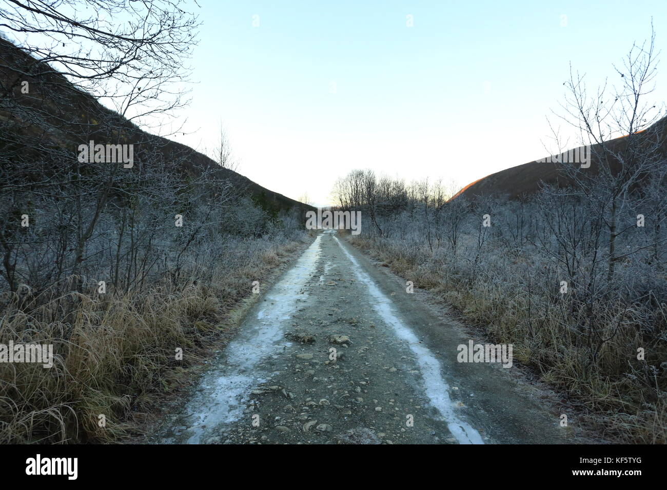 Frozen Icy Drit Road Going Trough The Forest Stock Photo - Alamy