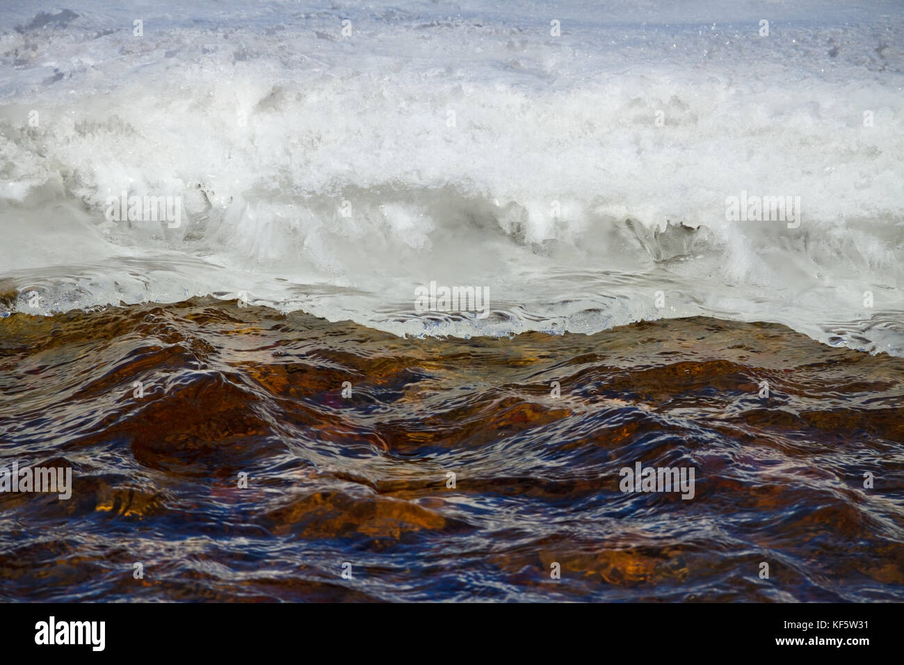 Small river flows into the Baltic sea in a spring time Stock Photo - Alamy