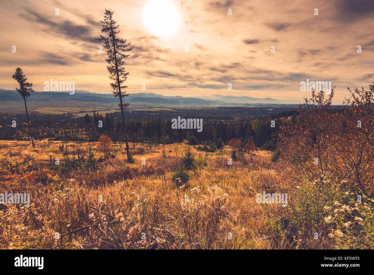 Vista over valley in high mountains Tatra, Slovakia Stock Photo - Alamy